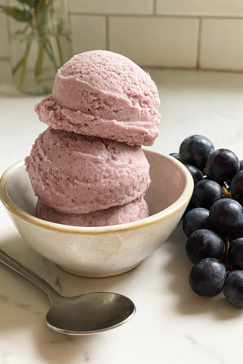 Concord Grape Ice Cream - Tasty Recipes Chef
